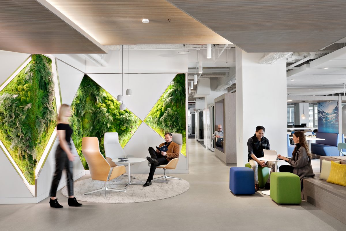 Employees make 43% fewer mistakes in the presence of plants and ...