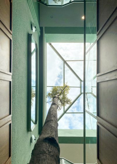 A play of leaves and light - PT Arch Studio designs CoCo Cha Taiwan Tea ...