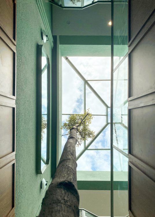 A play of leaves and light - PT Arch Studio designs CoCo Cha Taiwan Tea ...