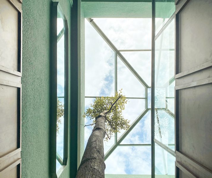 A play of leaves and light - PT Arch Studio designs CoCo Cha Taiwan Tea ...