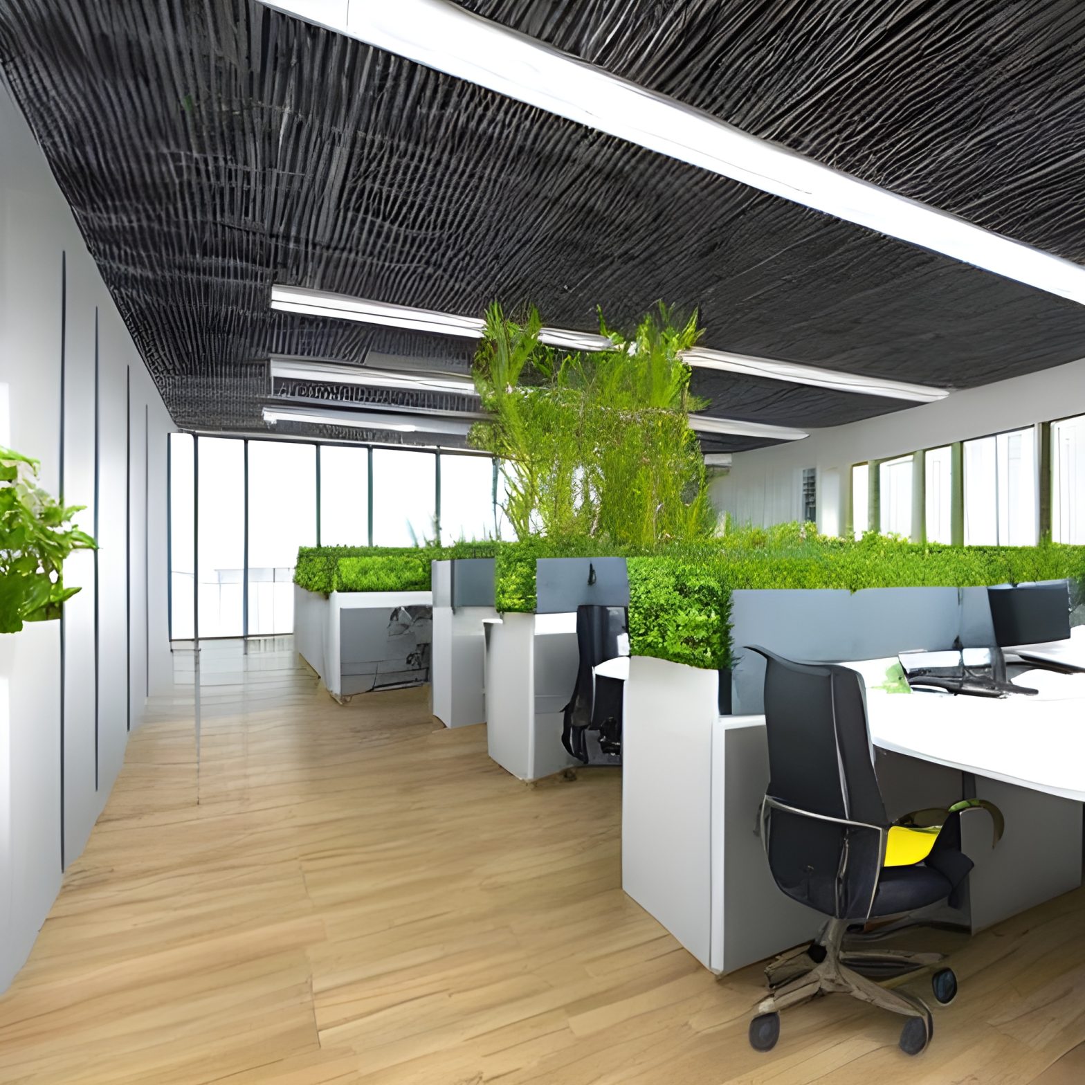Sustainable design tips: Ways to create an eco-friendly office - Commercial Design India