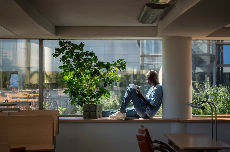 World Environment Day exclusive: 10 must-reads on a sustainable office ...
