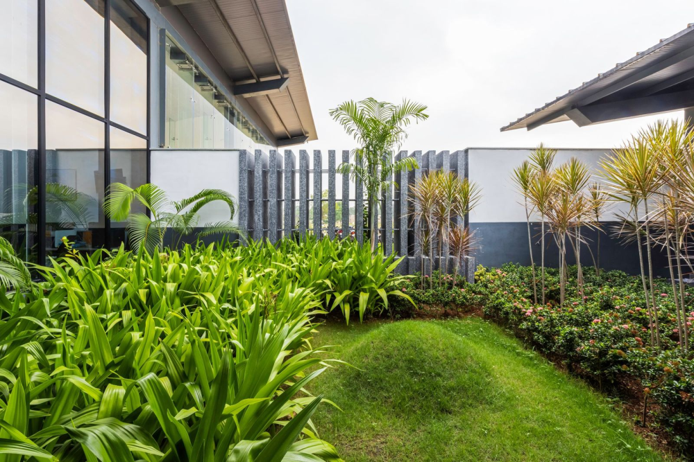 Where work meets nature: Discover the unique office-garden design of VEE Technologies by IMK ...