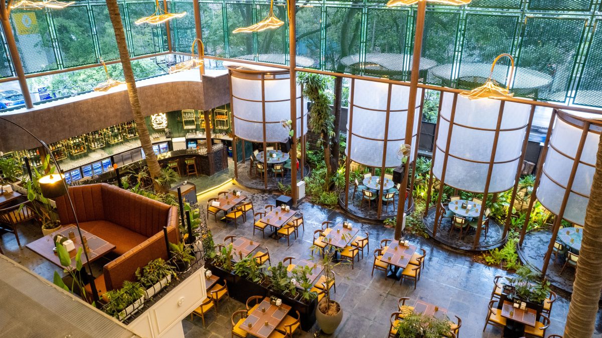 Savor a meal in nature-inspired design at The Scene by SNA Design ...