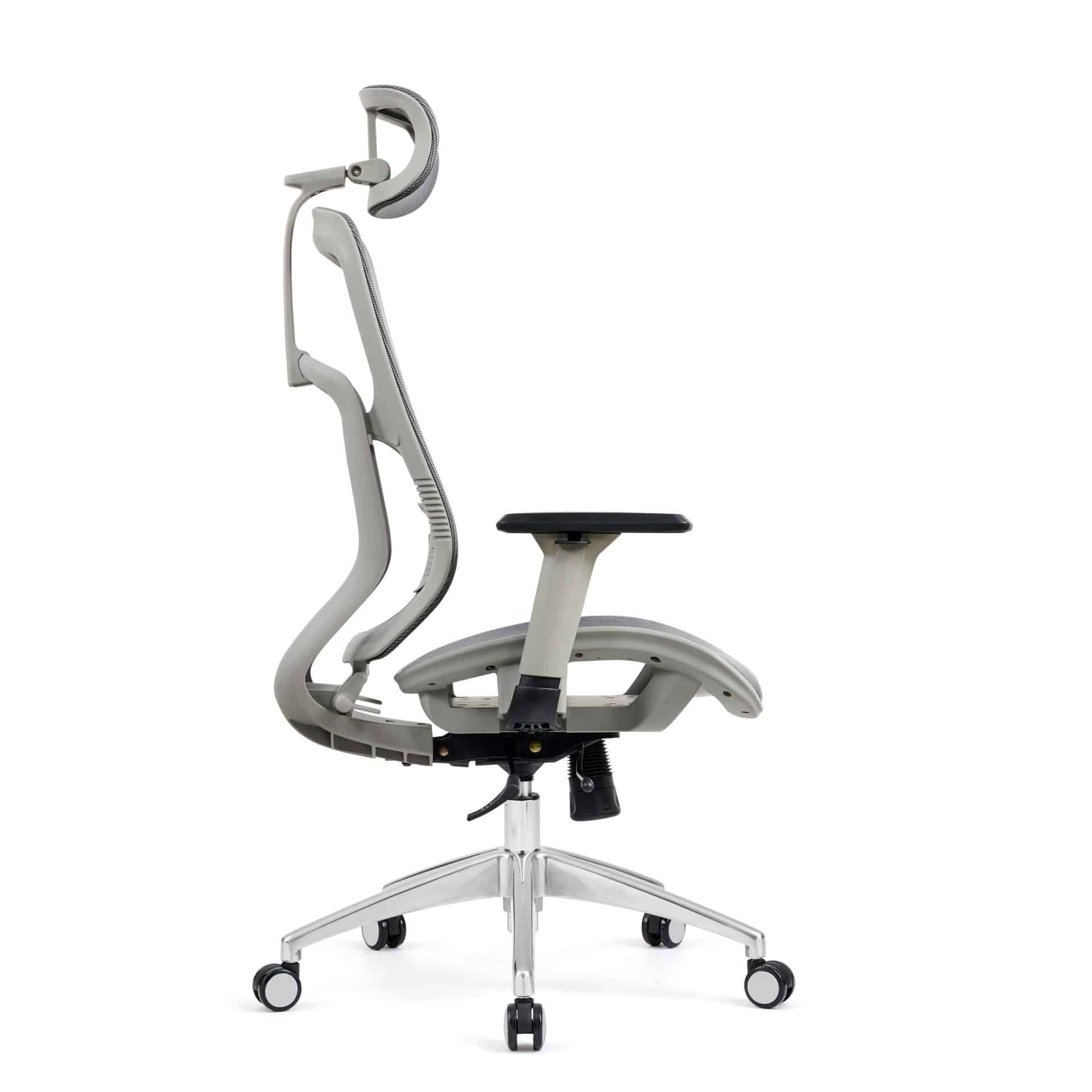 Ergospace enhances its portfolio by launching new comfort solution: The Polo Chair - Commercial ...