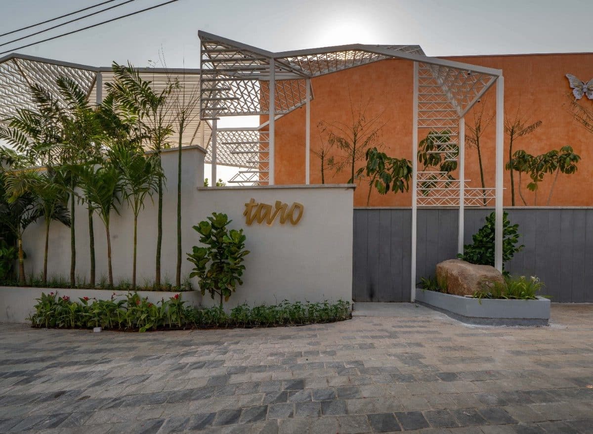 A lush mini-forest of tropical plants under a striking metal pergola ...