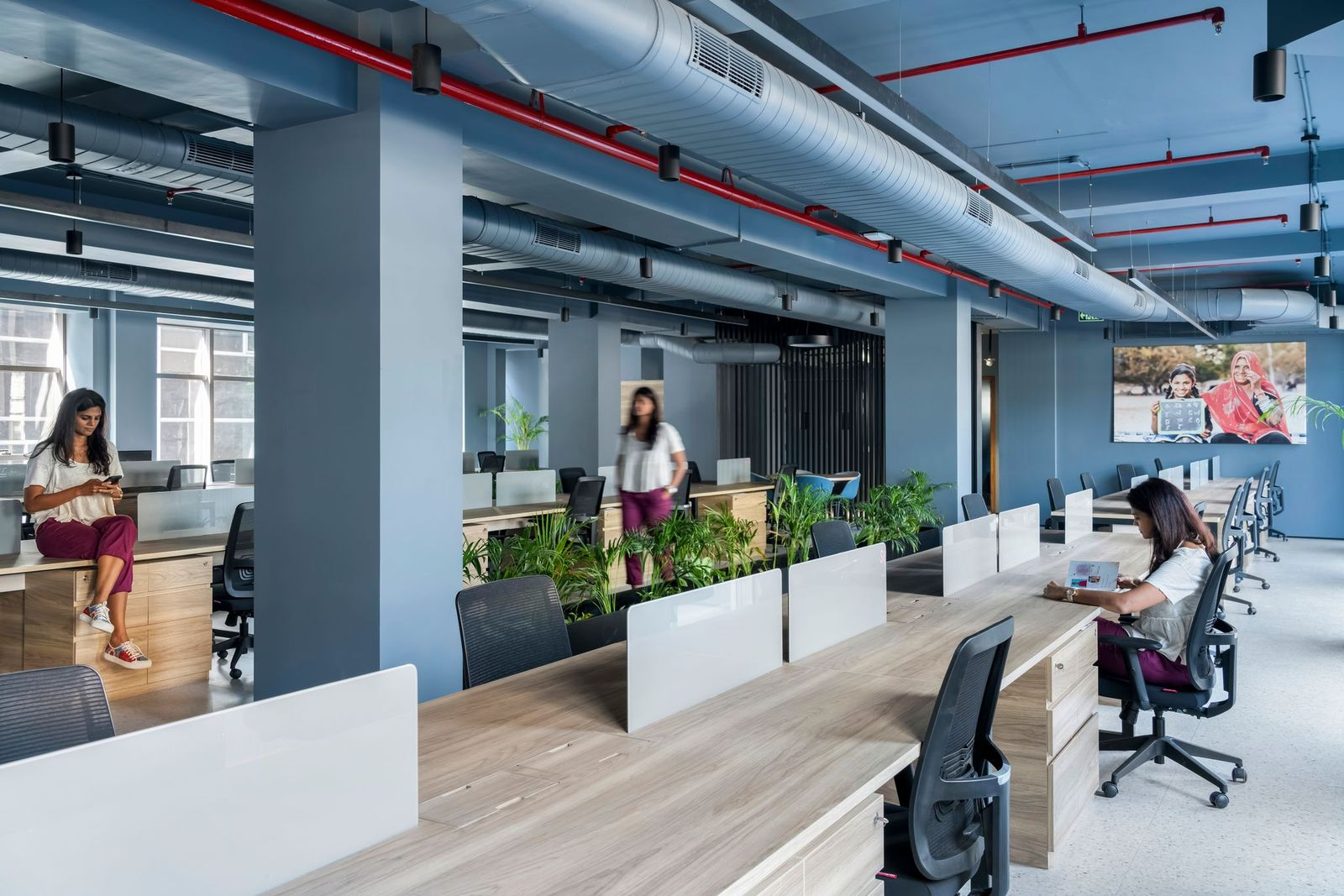 Lyth Design shapes productivity and well-being in their latest office ...
